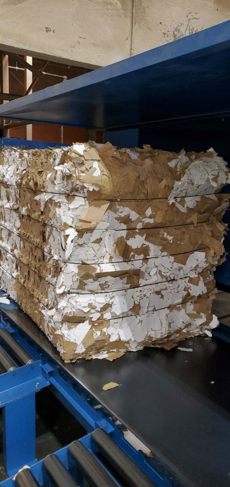 Cardboard OCC Baled OCC 12 Cardboard OCC Baled OCC 12