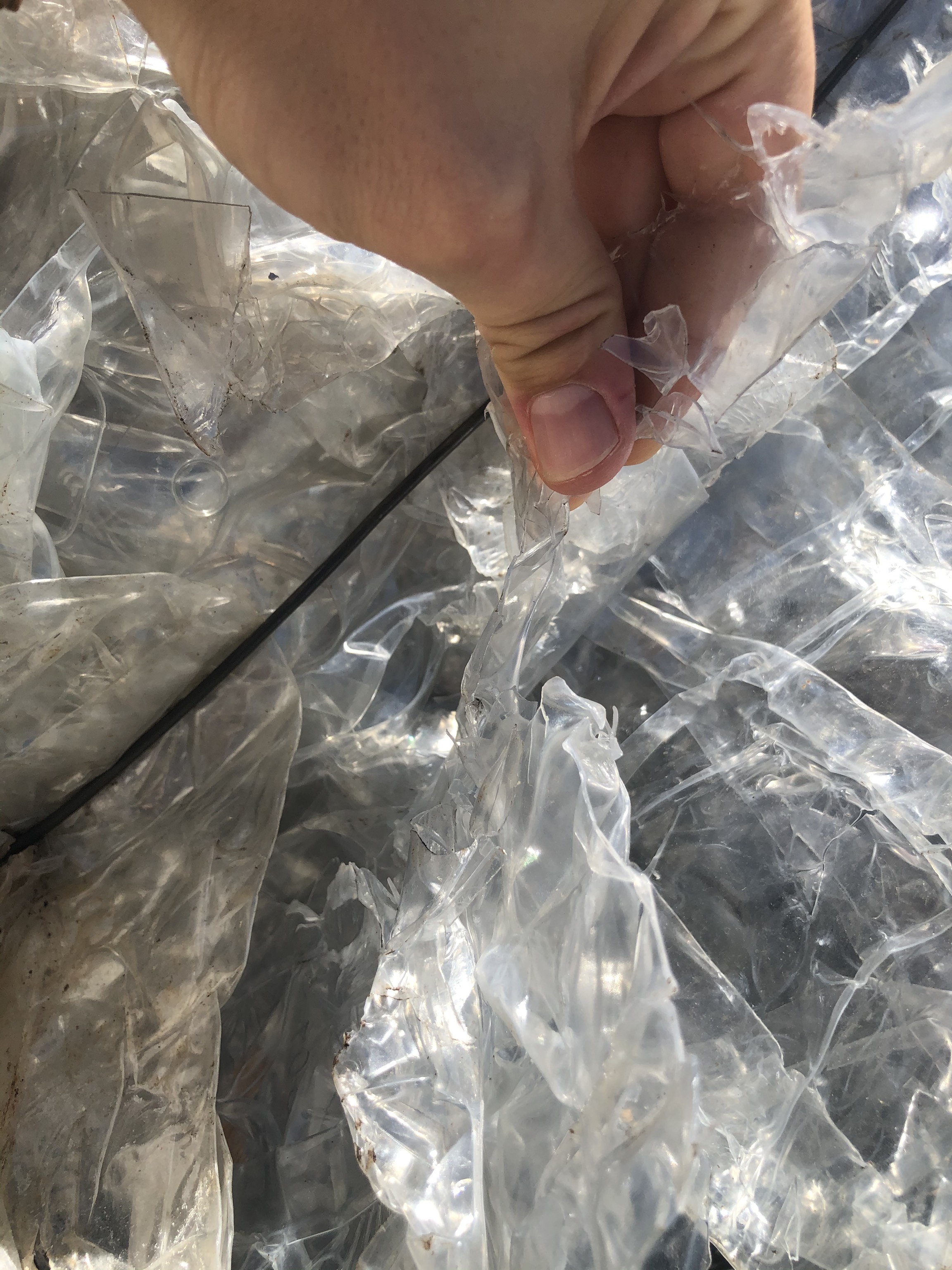 PET PETE Baled PET TRAYS PET PETE Baled PET TRAYS