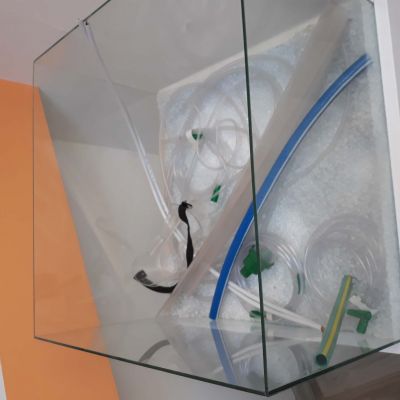 TPU, Baled, 90 + shore tpu